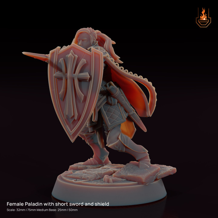 3D Printable Female Paladin with Shield and Sword [Supported] by ...