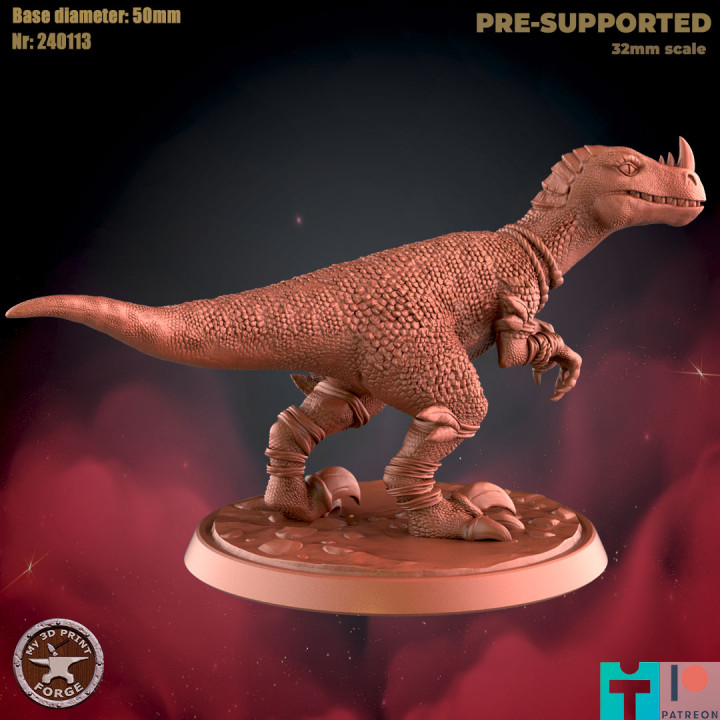 3D Printable Raptors Three Models by My3DPrintForge