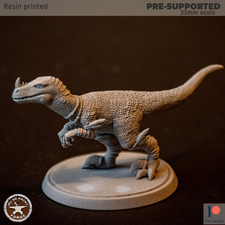 3D Printable Raptors Three Models by My3DPrintForge