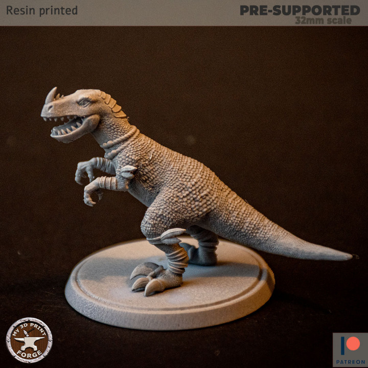3D Printable Raptors Three Models by My3DPrintForge