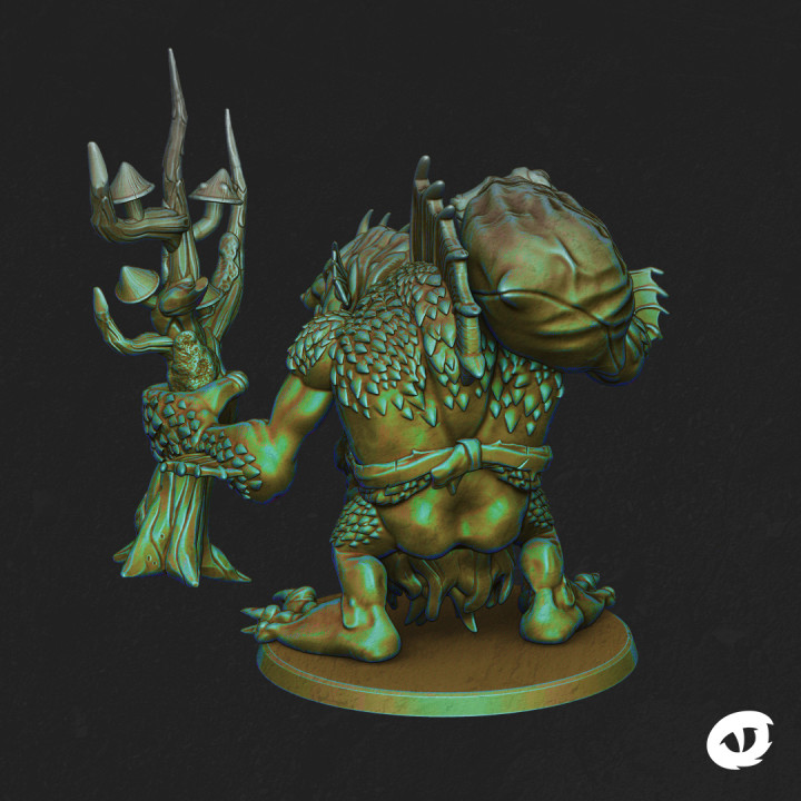 3D Printable Troll Hag by Insight Miniatures