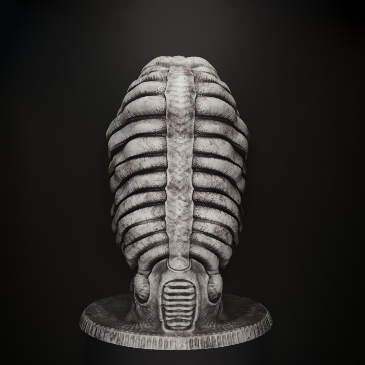 3D Printable TOA Cocoon of Desolation 65mm by bLUARt
