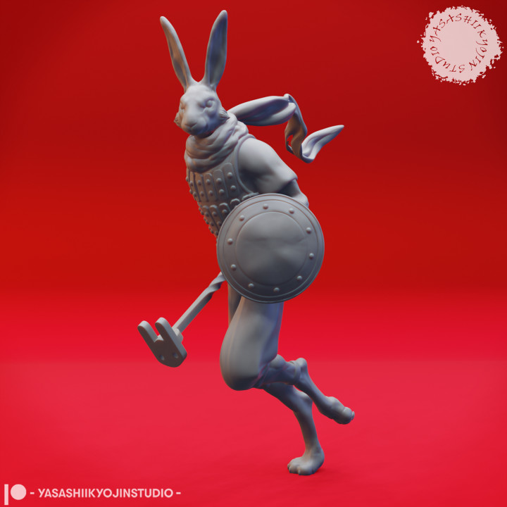 3D Printable Rabbitfolk Fighter - Tabletop Miniature by Yasashii Kyojin ...