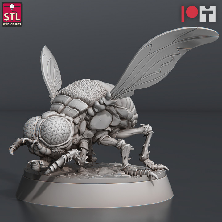 3D Printable Giant Flies Set by STL Miniatures