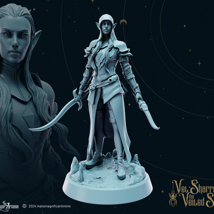 3D Printable Drow of Vel'Sharrisan by The Major Arcana