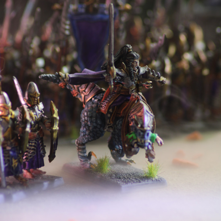 3D Print of Dark Elf Commander by Landor