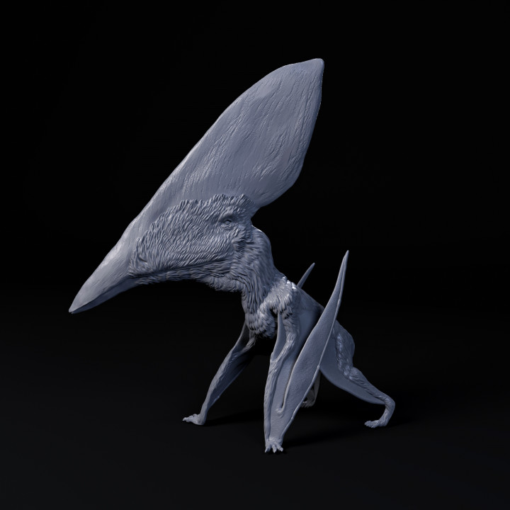 3D Printable Thalassodromeus 1-35 scale pre-supported pterosaur by Dino and Dog