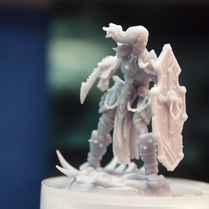 3D Print of Numa, The Guided Carnage (Human Barbarian) by mok2