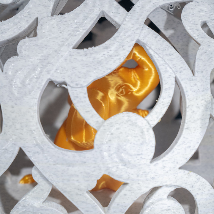 3D Printable The Wisdom Within by Stlflix