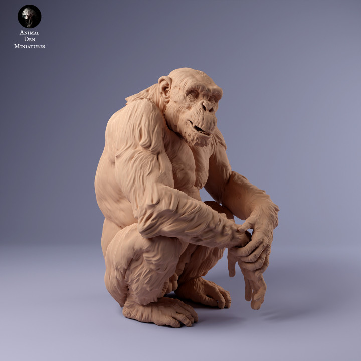 3D Printable Common Chimpanzee Male Sitting by Animal Den Miniatures