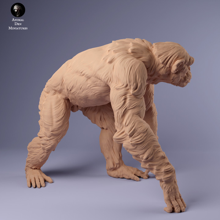 3D Printable Common Chimpanzee by Animal Den Miniatures
