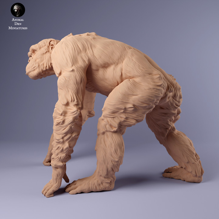 3D Printable Common Chimpanzee by Animal Den Miniatures