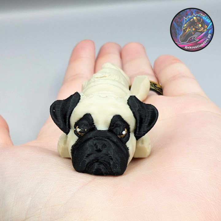3D Printable Baby Flexi Dog Keychain Set 3 (set of 10) by Kirsten M