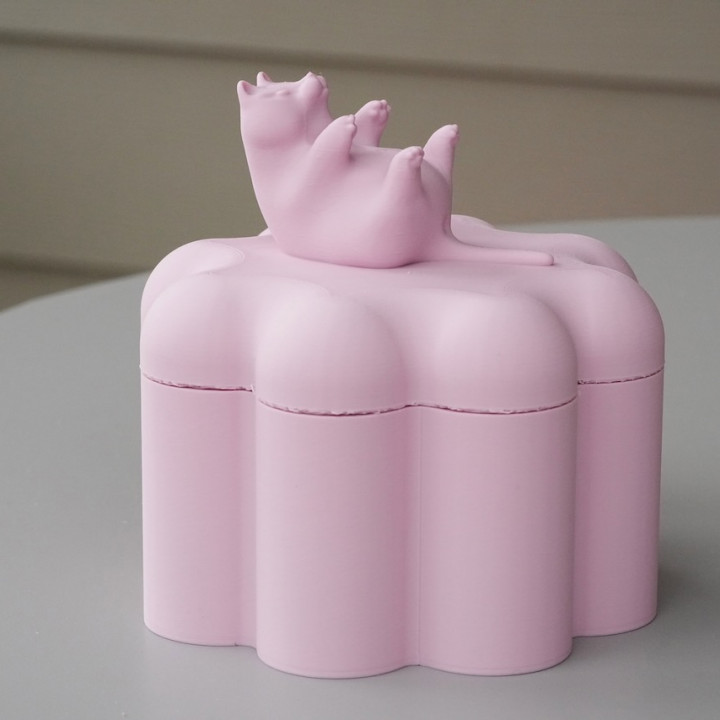 3D Printable Cat box by Philippe Barreaud