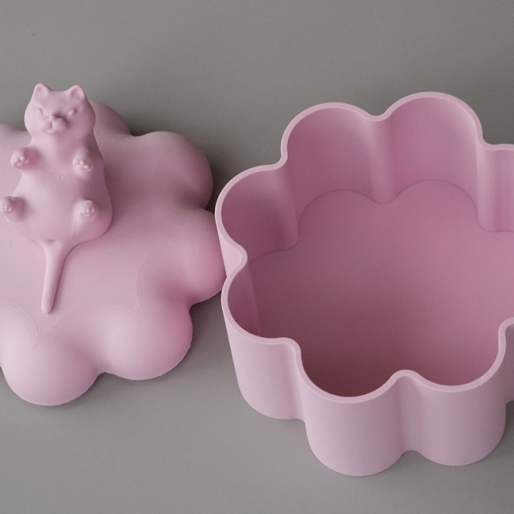 3D Printable Cat box by Philippe Barreaud