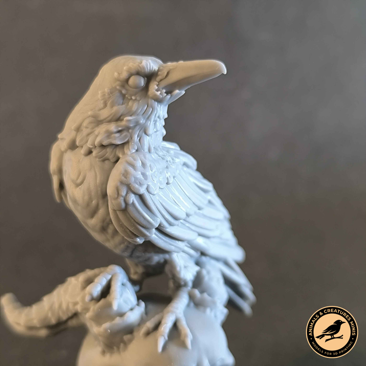 3D Printable Raven on demon skull by Animals & Creatures Minis