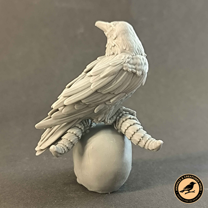 3D Printable Raven on demon skull by Animals & Creatures Minis