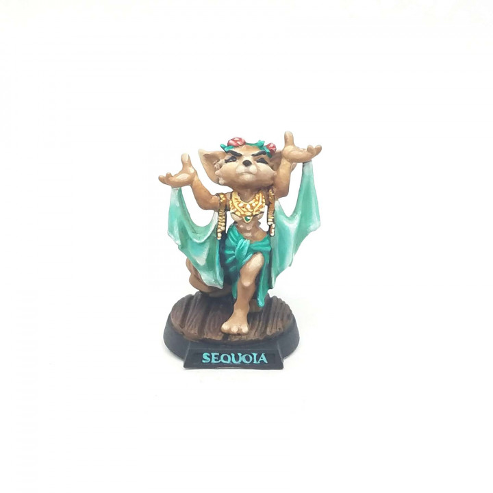3D Printable Female Foxfolk Druid - Sequoia the Fennik Druid ( Female ...