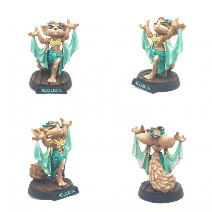 3D Printable Female Foxfolk Druid - Sequoia the Fennik Druid ( Female ...