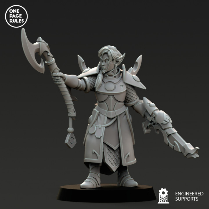 3D Printable Elite Protector - High Elf Fleets by One Page Rules