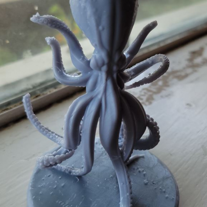 3D Print of Lucky Octopus by michaelmatlock1