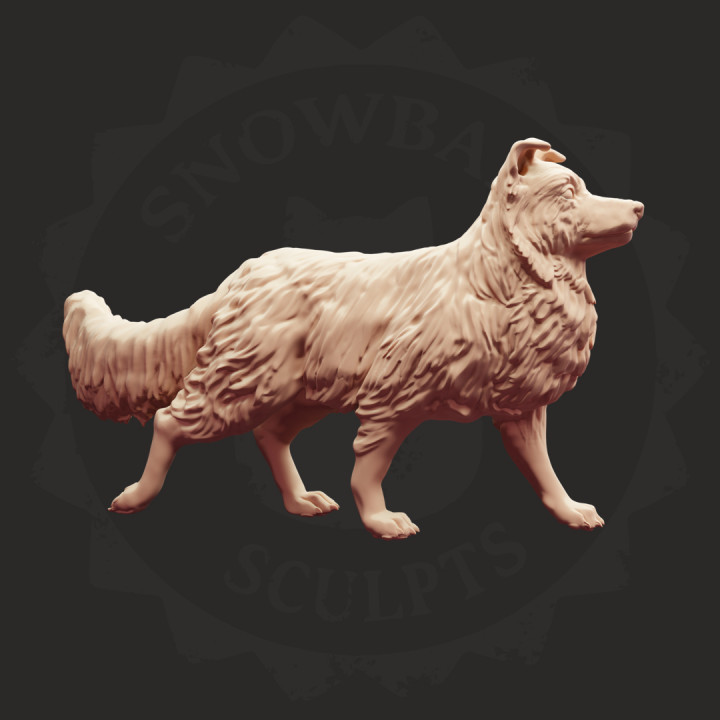 3D Printable Border Collie Dog Miniature by Snowball Sculpts