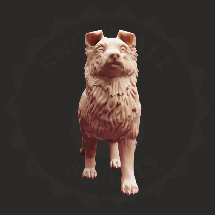 3D Printable Border Collie Dog Miniature by Snowball Sculpts