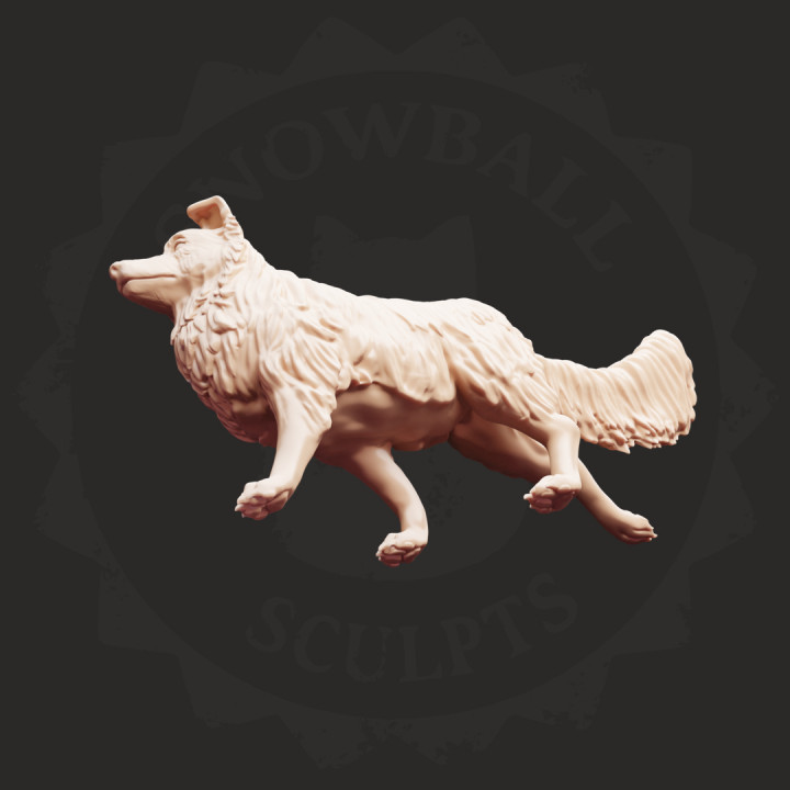 3D Printable Border Collie Dog Miniature by Snowball Sculpts