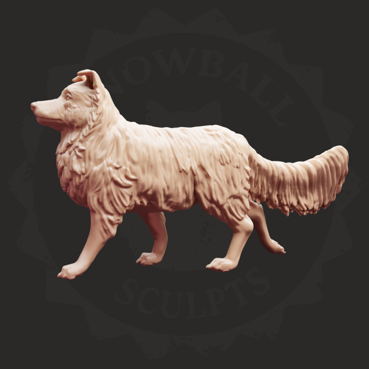 3D Printable Border Collie Dog Miniature by Snowball Sculpts