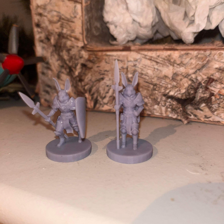 3D Printable Oryc - Harengon Cleric Pose 2 by Rogue Hero Minis