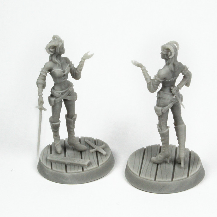 3D Printable Tiefling Rogue | Two Poses & Tail/No Tail Options| RPG Hellspawn Hero Mini With ...