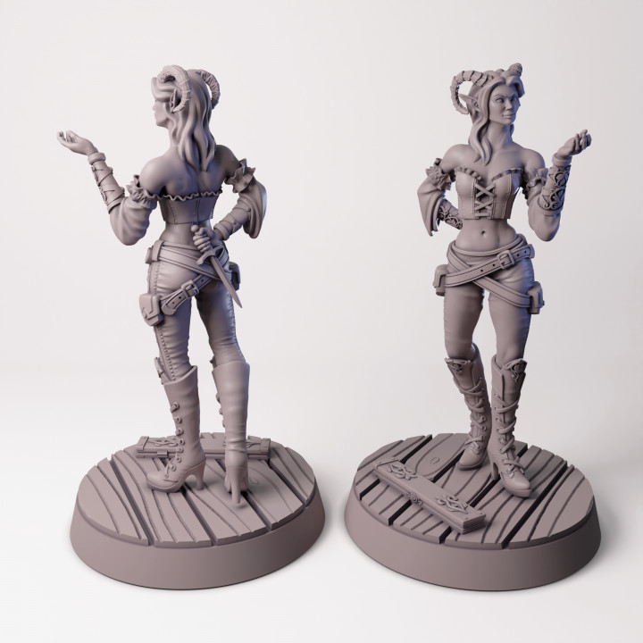 3D Printable Tiefling Rogue | Two Poses & Tail/No Tail Options| RPG Hellspawn Hero Mini With ...