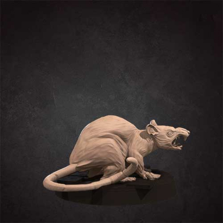 3D Printable Giant Rats (Graveyard Minions) (4 Models) by Bite the Bullet