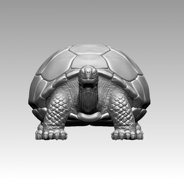 3D Printable turtle by 3Dimontis