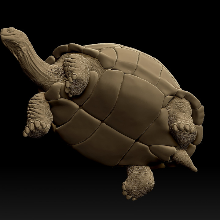 3D Printable turtle by 3Dimontis