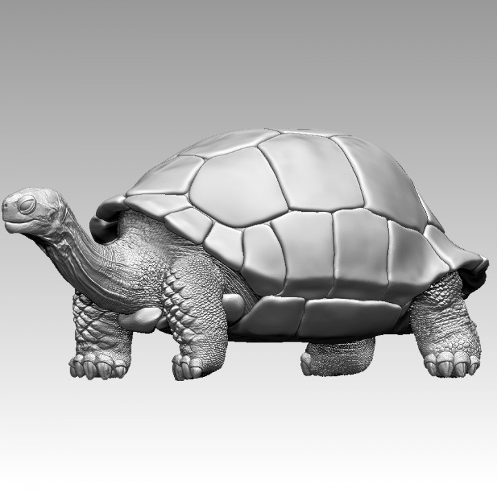 3D Printable turtle by 3Dimontis