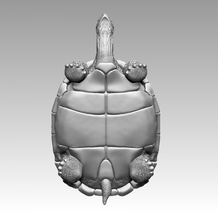 3D Printable turtle by 3Dimontis
