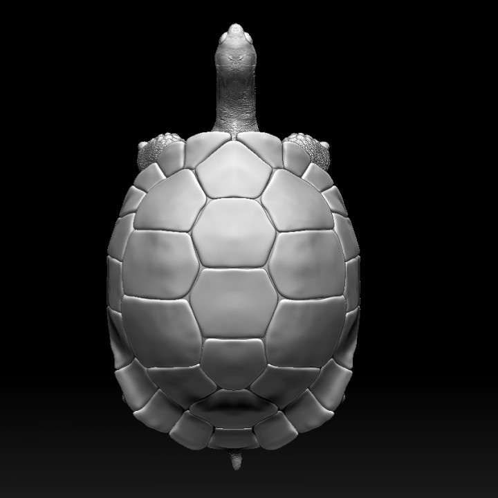 3D Printable turtle by 3Dimontis