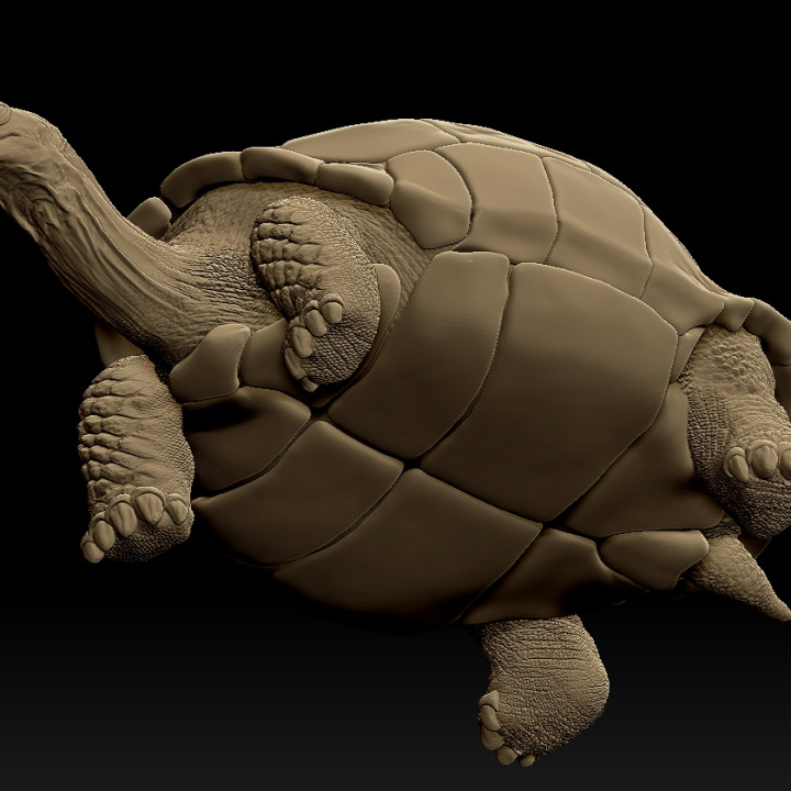 3D Printable turtle by 3Dimontis