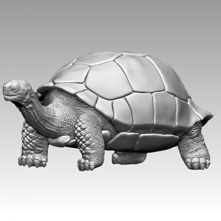 3D Printable turtle by 3Dimontis