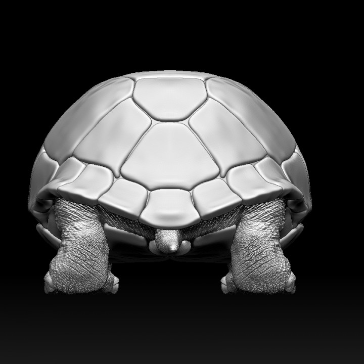 3D Printable turtle by 3Dimontis