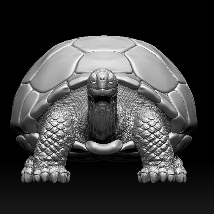 3D Printable turtle by 3Dimontis