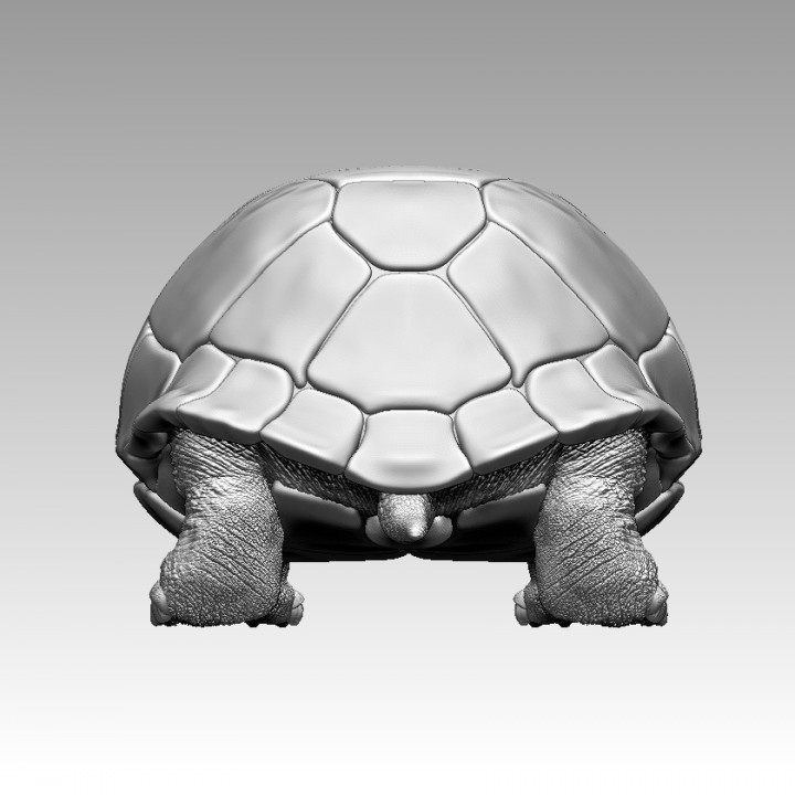 3D Printable turtle by 3Dimontis