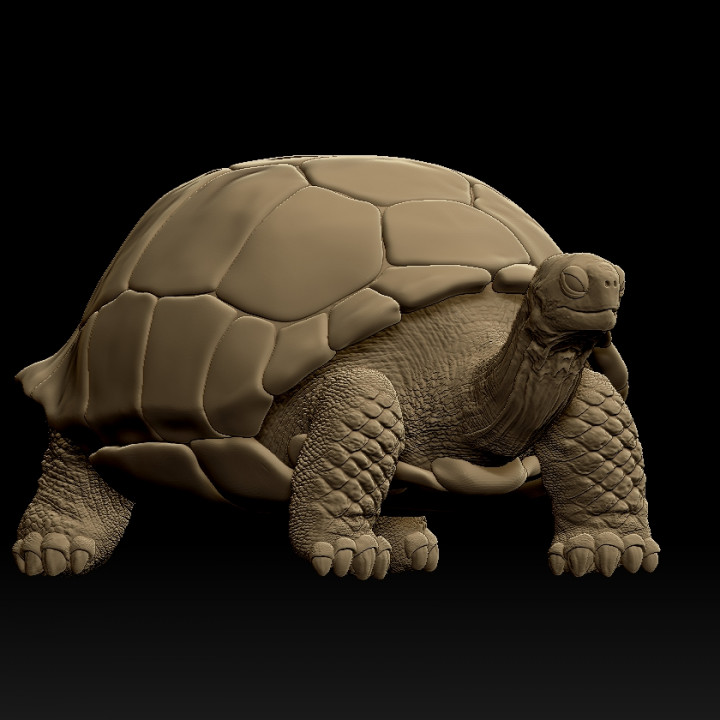 3D Printable turtle by 3Dimontis