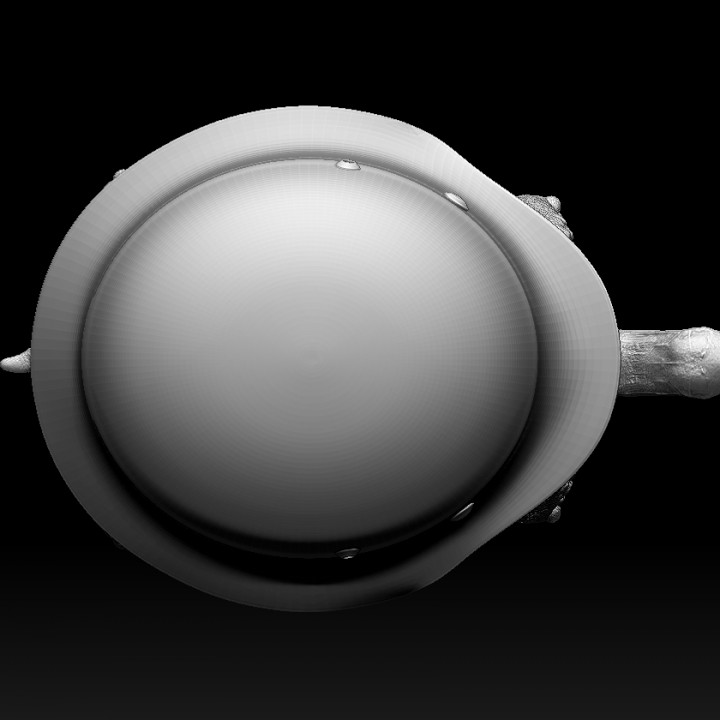 3d Printable Turtle Helmet By 3dimontis