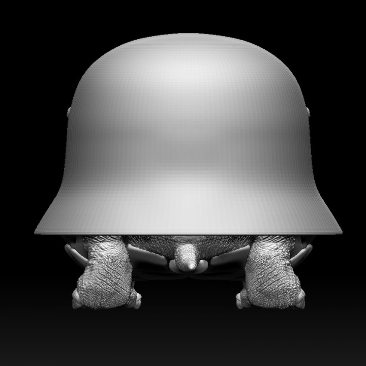 3D Printable turtle helmet by 3Dimontis