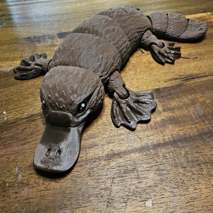 3D Print of Platypus, Articulated fidget, Print-In-Place, Cute Animal ...