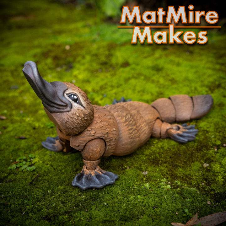 3D Printable Platypus, Articulated fidget, Print-In-Place, Cute Animal ...
