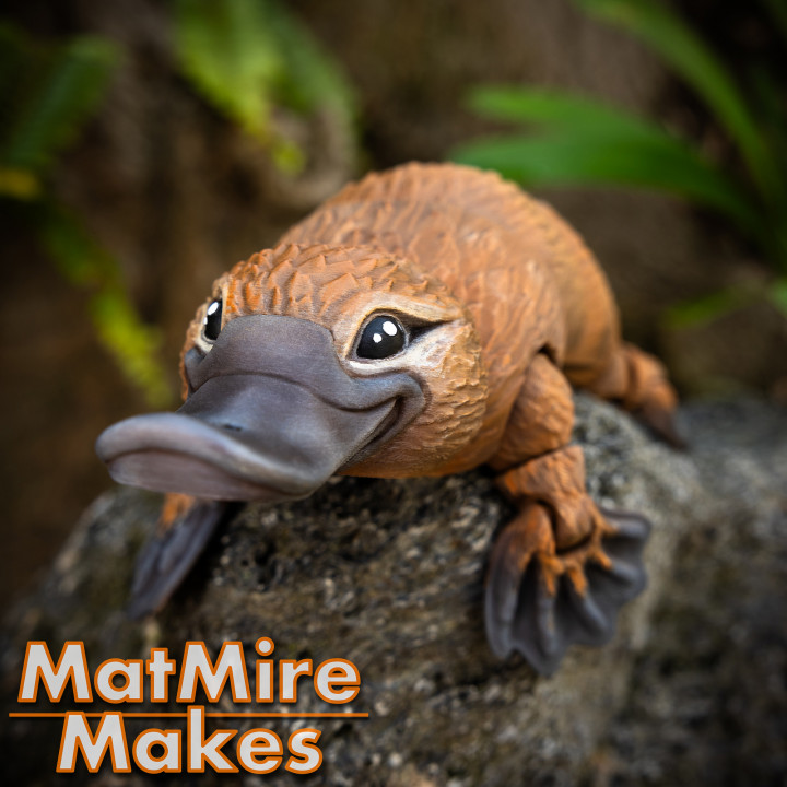 3D Printable Platypus, Articulated fidget, Print-In-Place, Cute Animal ...