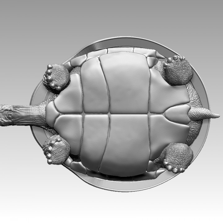 3D Printable TURTLE HELMET by Dmitry Tishchenkov
